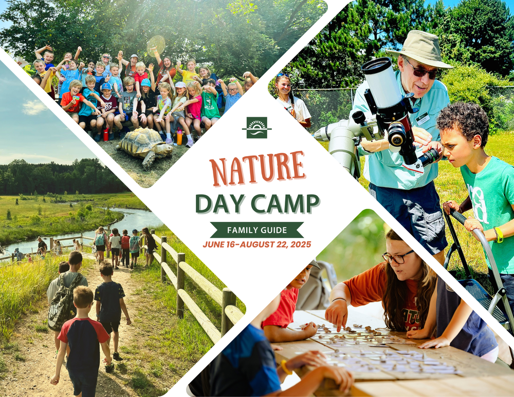 Summer Day Camps — Grand Traverse Conservation District