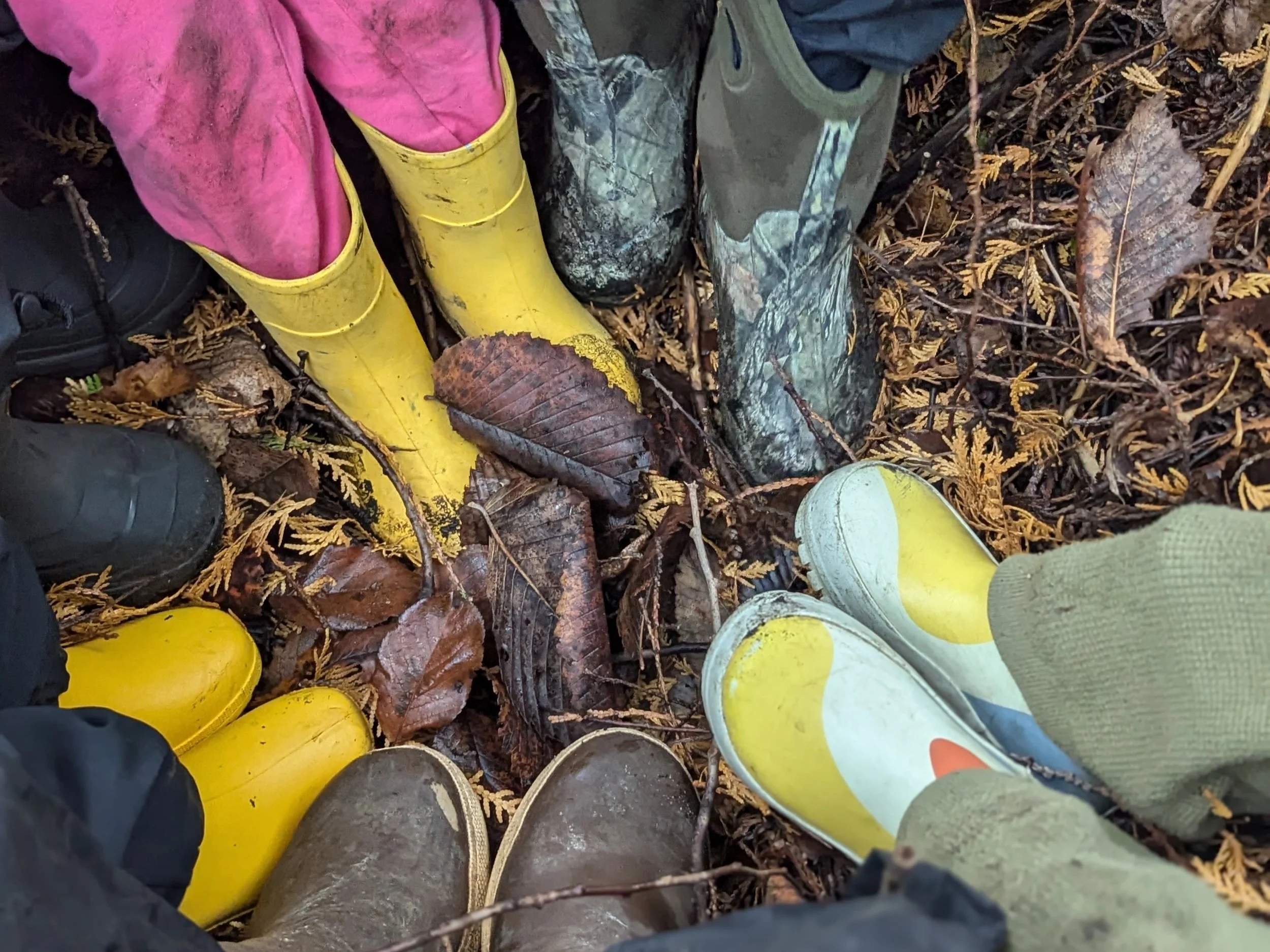 Peepers Program — Grand Traverse Conservation District