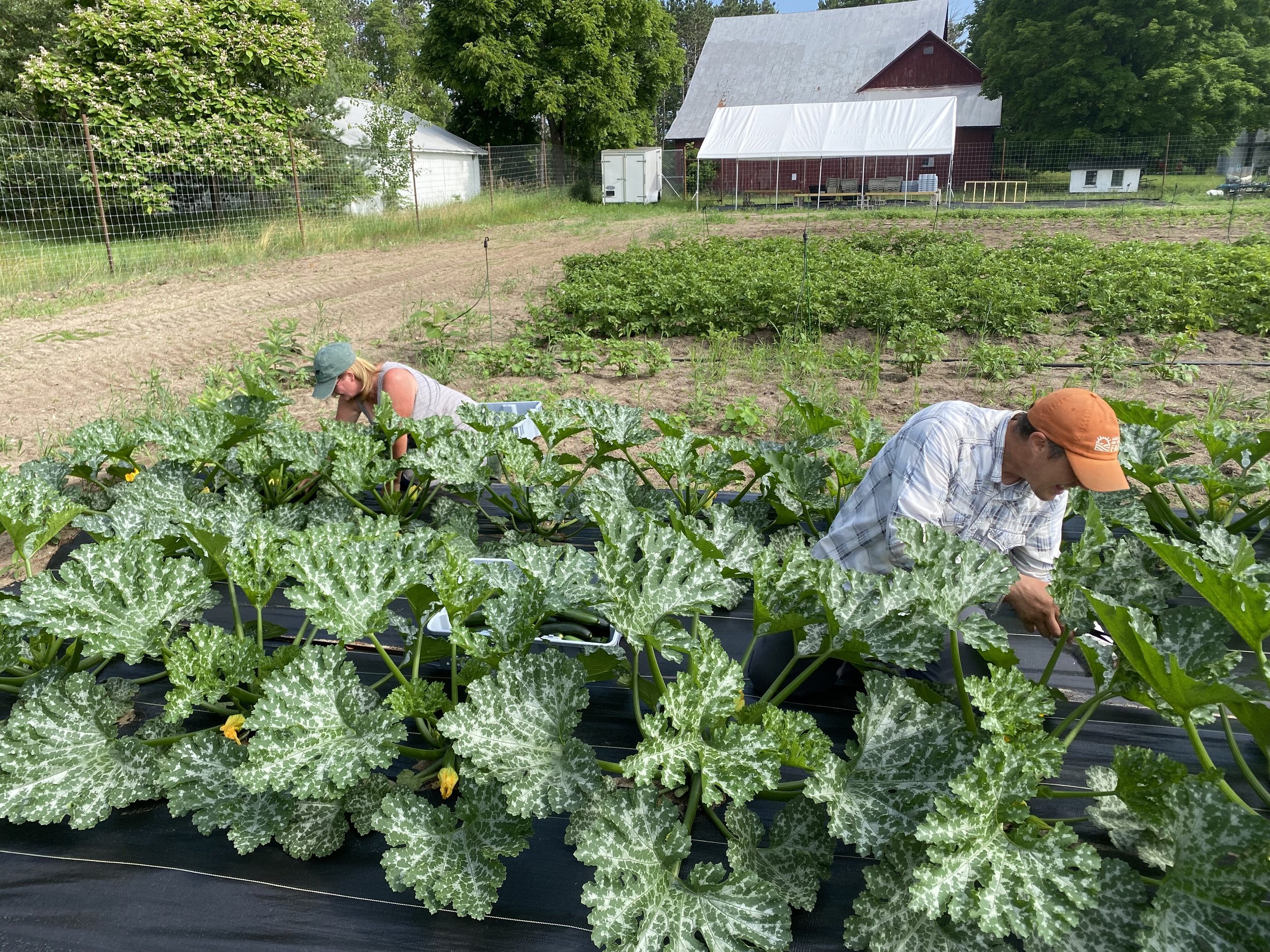 Great Lakes Incubator Farm — Grand Traverse Conservation District