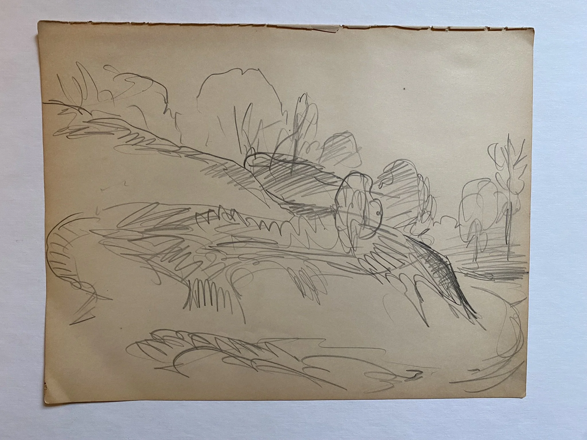 Marie Hull — Elizabeth Abston LLC