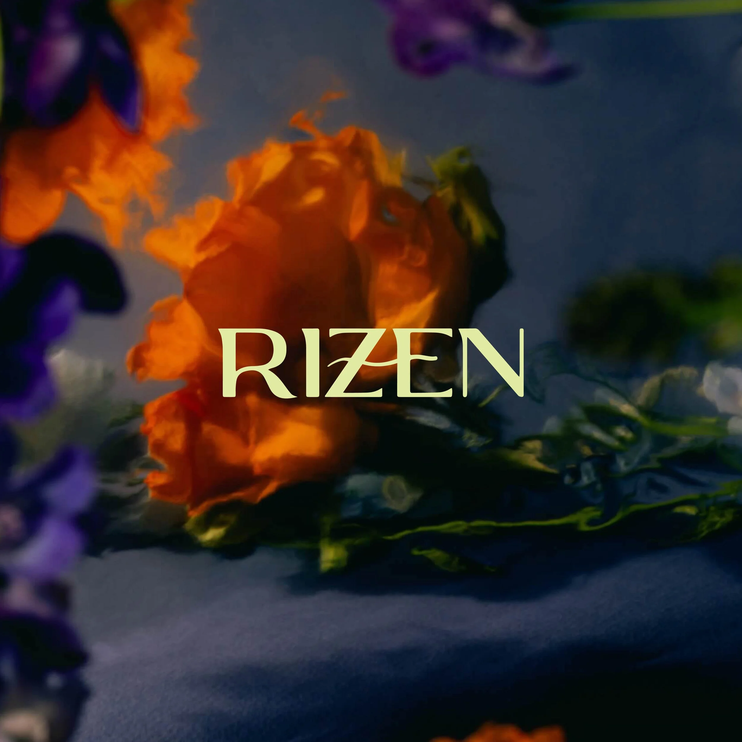 services — Joelle Studio