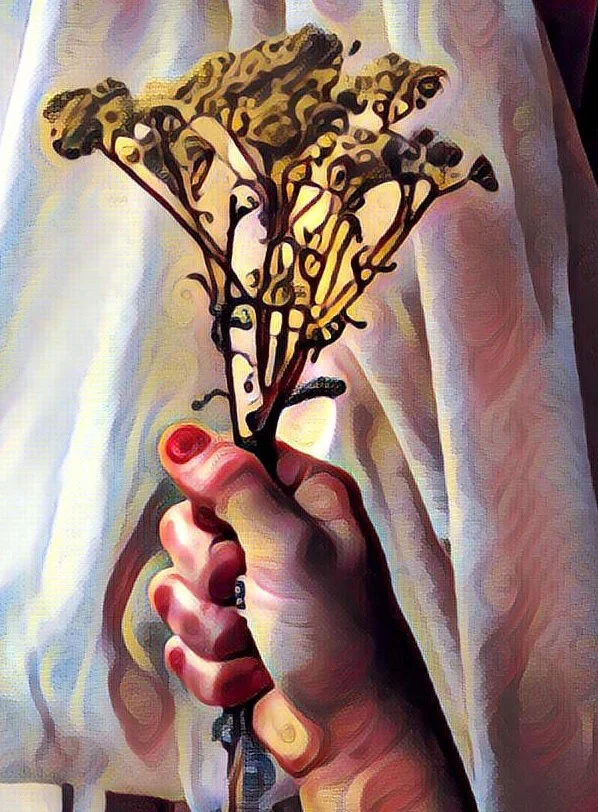 Yarrow — Hearthside Healing