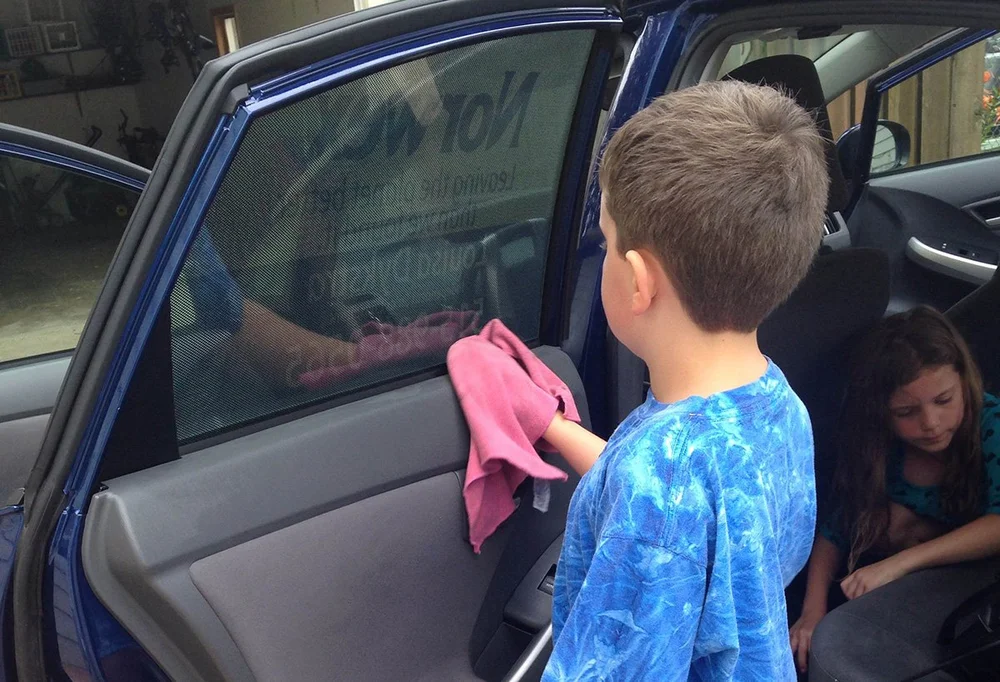 Car Detailing With Norwex — Louisa Joy - Author, Speaker, Trainer