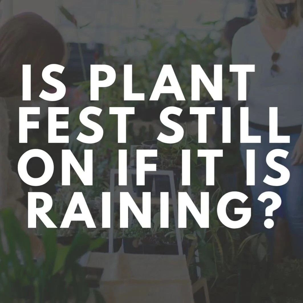 Plant Fest | Tauranga Plant Fest 2024 | Indoor Plants NZ | House Plants NZ