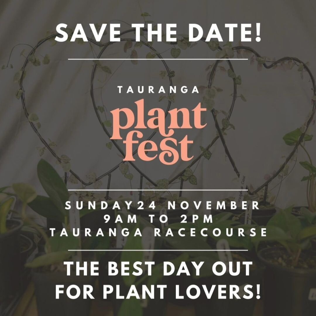 Plant Fest | Tauranga Plant Fest 2024 | Indoor Plants NZ | House Plants NZ