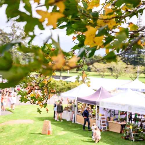Plant Fest | Tauranga Plant Fest 2023 | Indoor Plants NZ | House Plants NZ