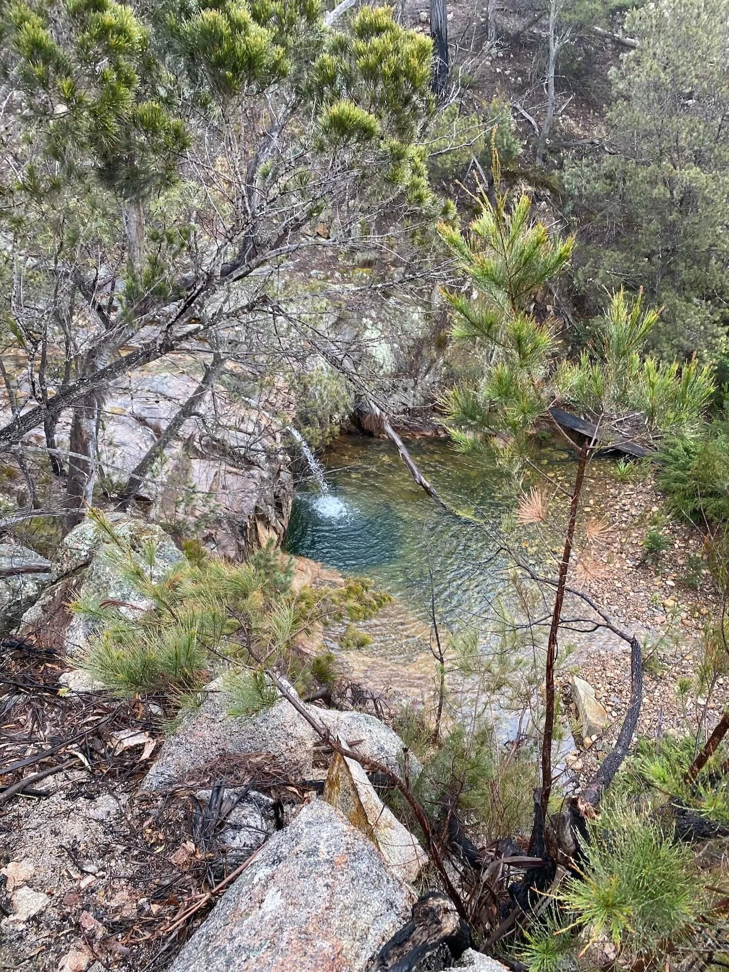 Dreaming Pool Shuttle — Gravity Isle