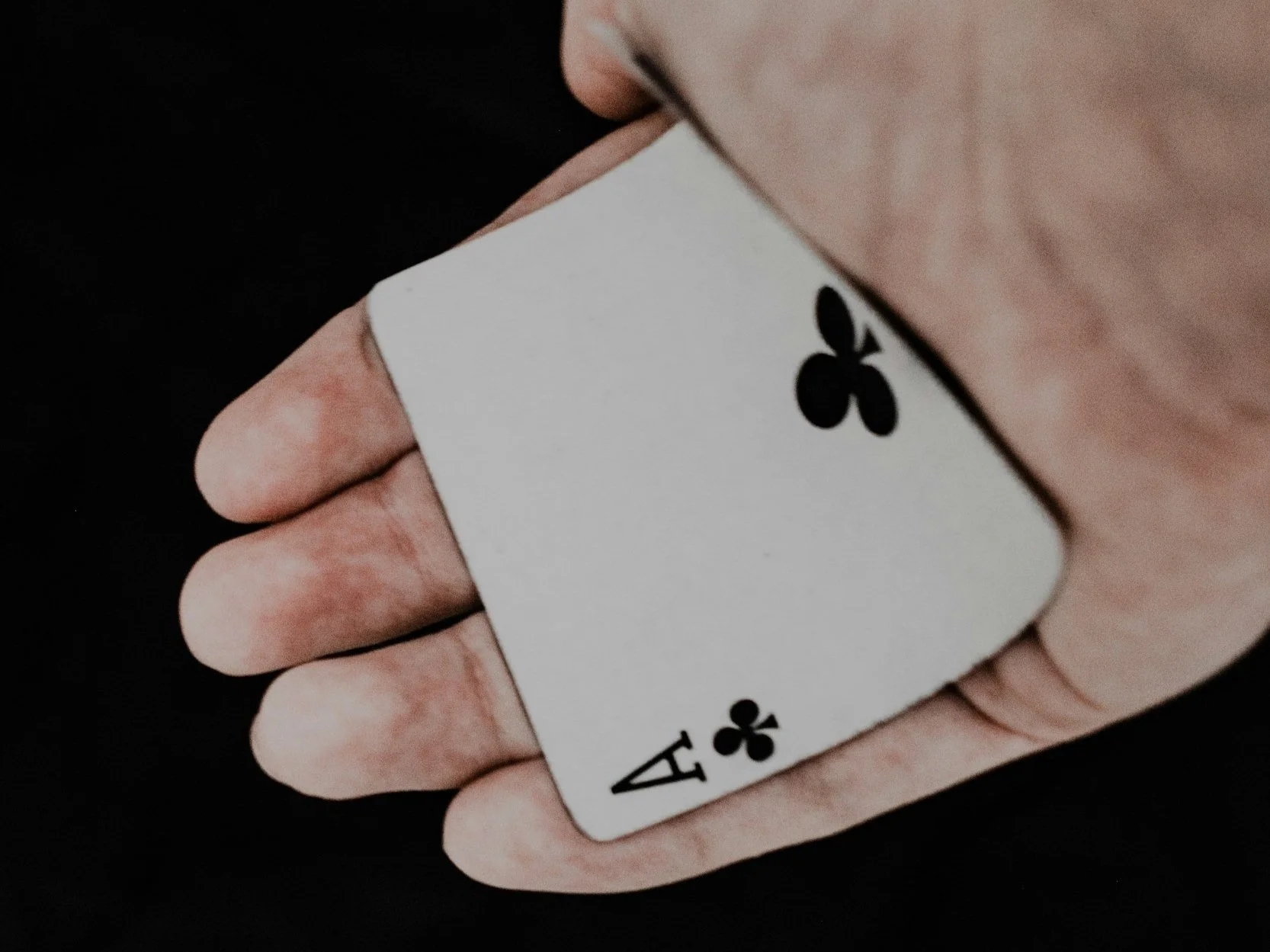 How to Play Chase the Ace: A Complete Guide for Beginners — Gather ...