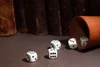 11 Dice Games You Must Try This Year — Gather Together Games