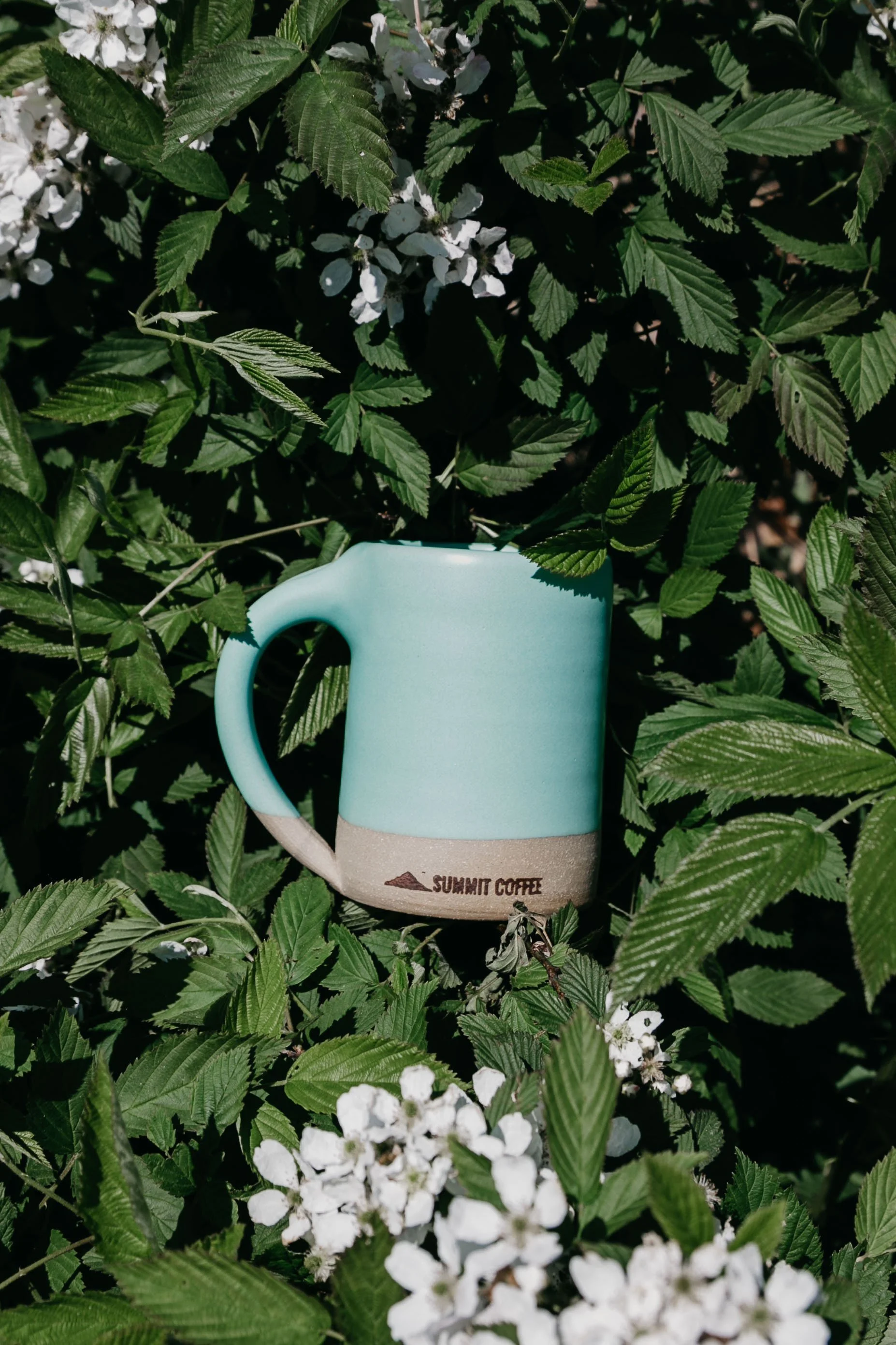 Merchandise — Summit Coffee Co.