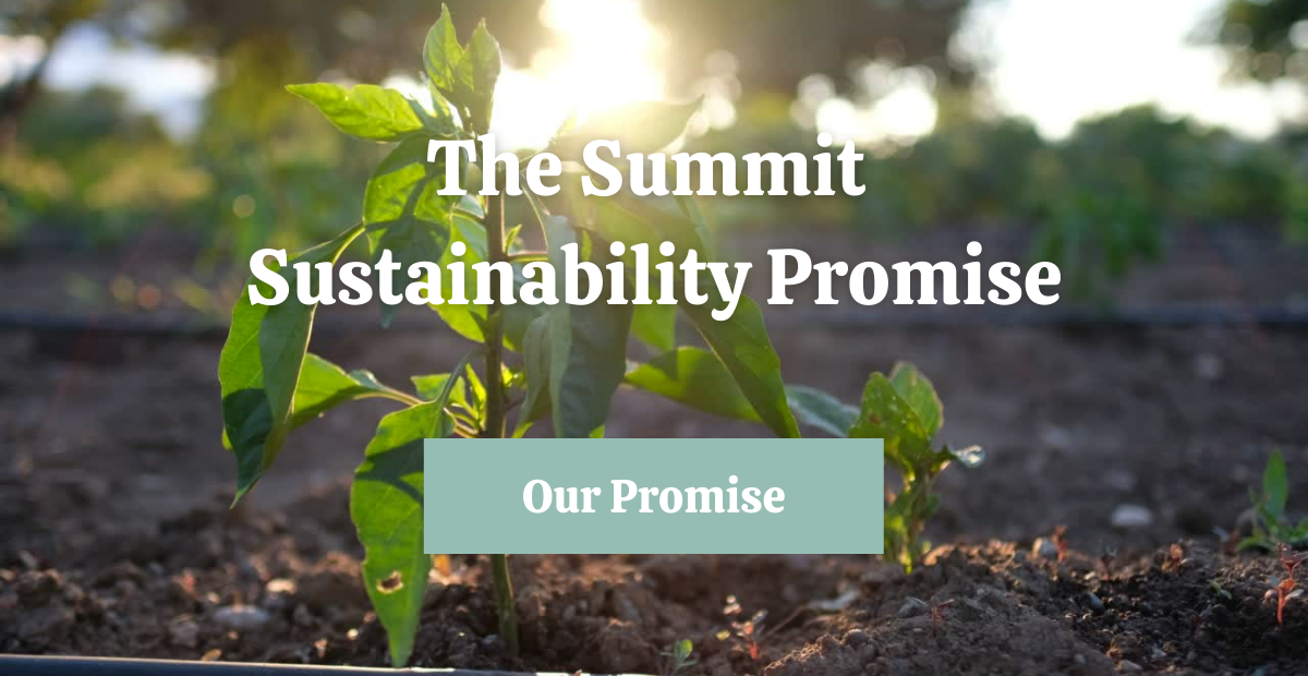 Summit Coffee | Coffee Roaster, Cafe Brand + Coffee Franchise