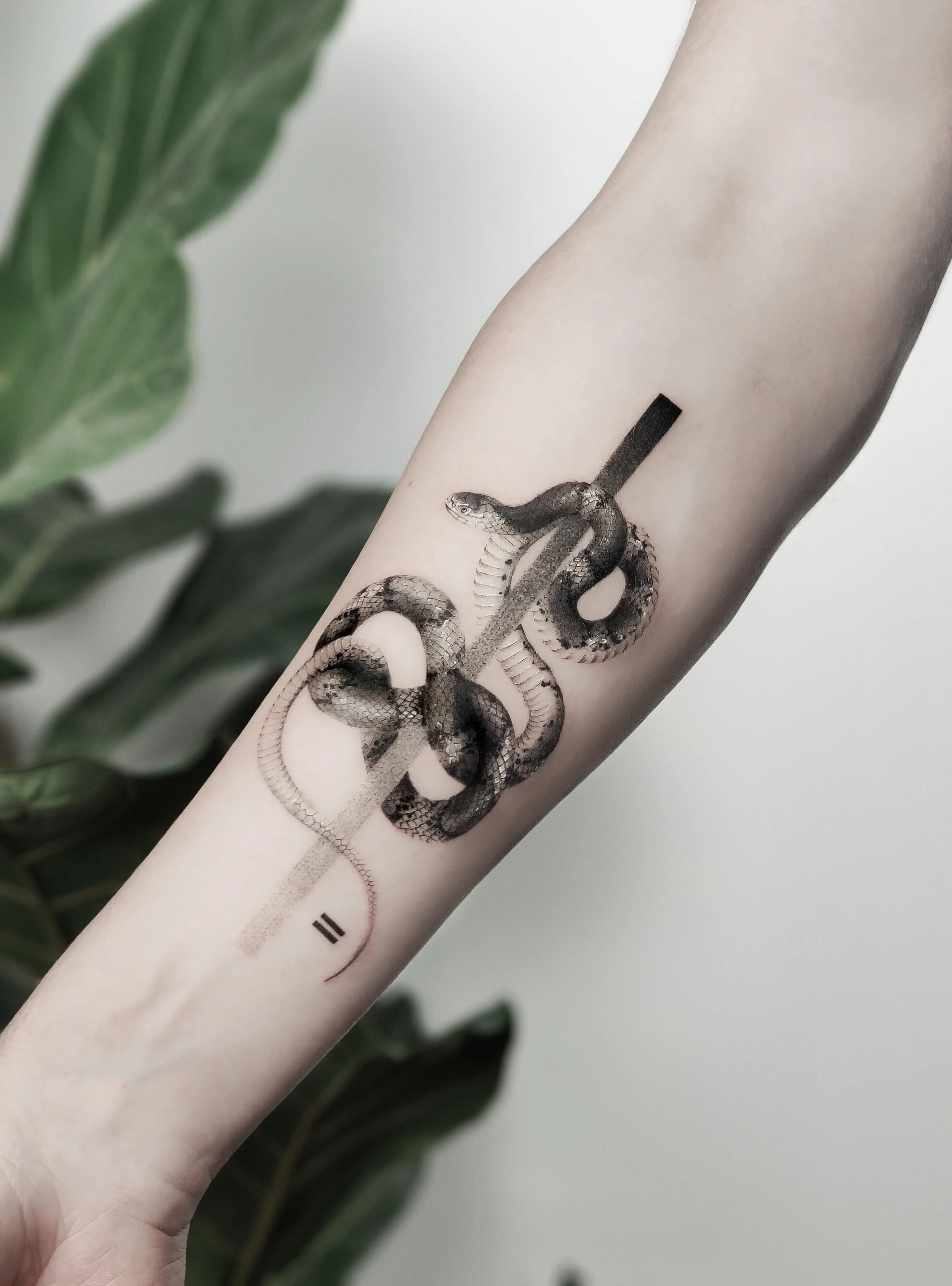 JamJam — The Island