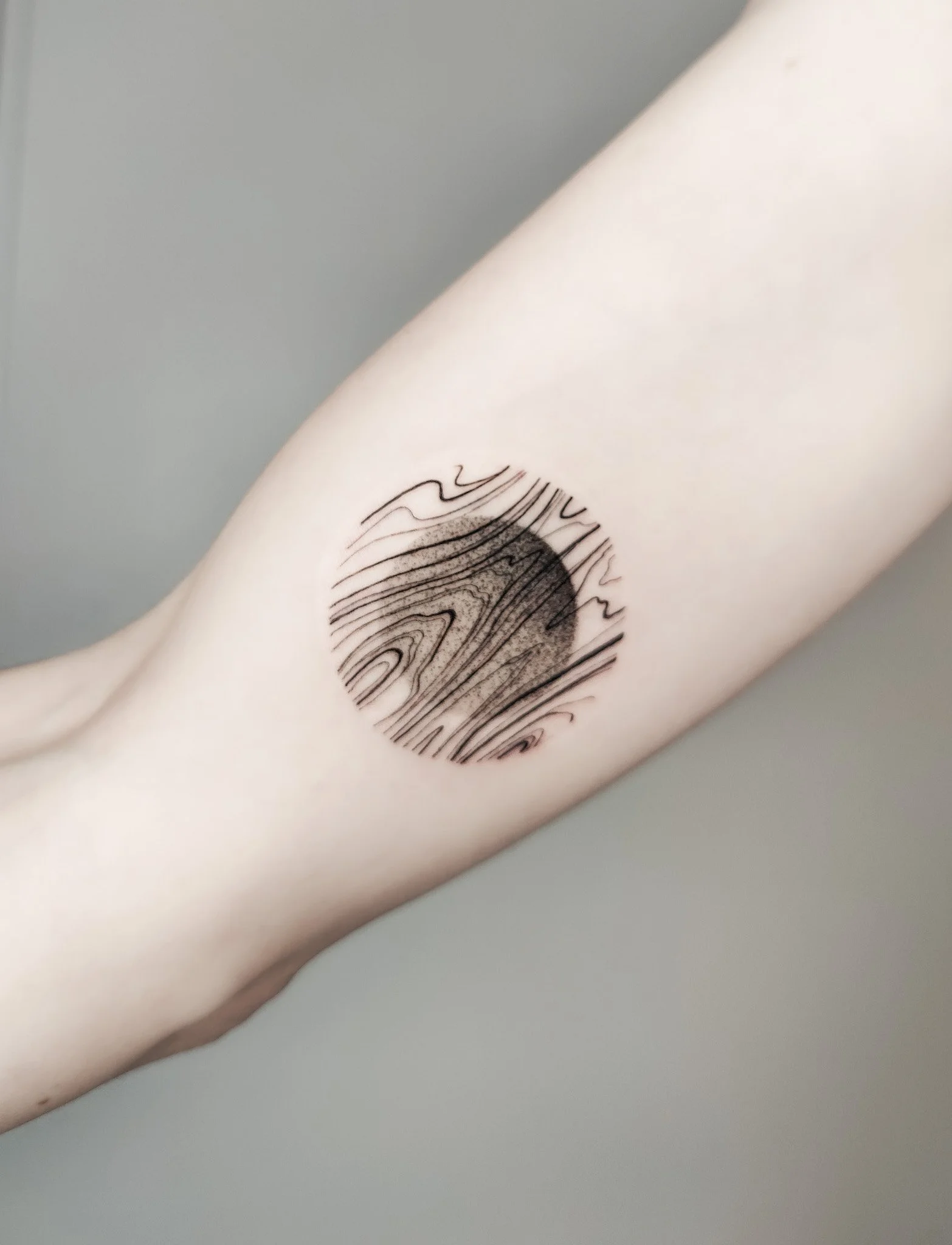 Tree Rings Tattoo