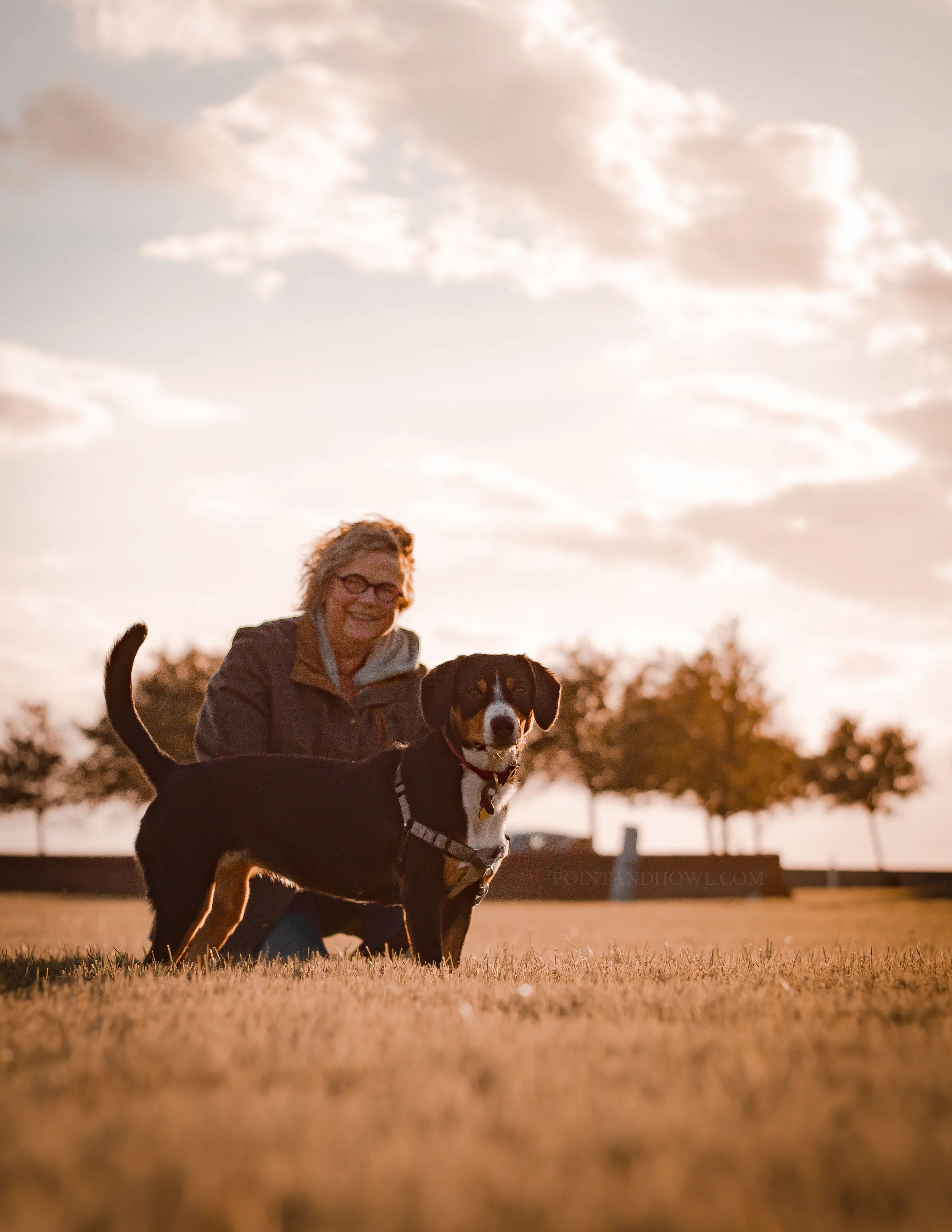 Pawsitive Training Service Dog Solutions