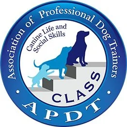 Pawsitive Training Service Dog Solutions