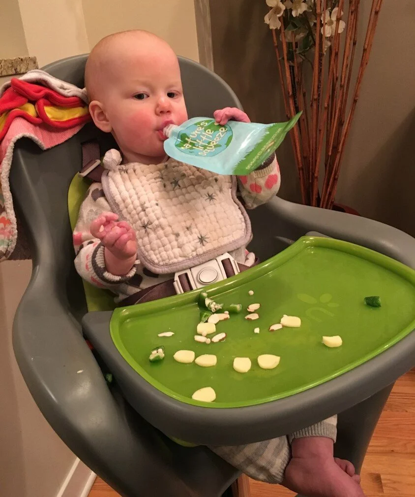 Pros and Cons of Baby Food Pouches — Tera Naset Nutrition