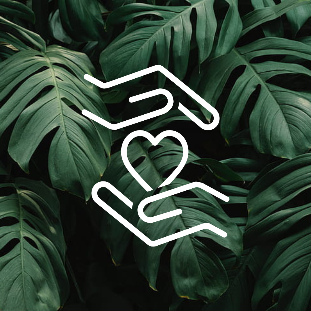 Links — UTOPIA Portland