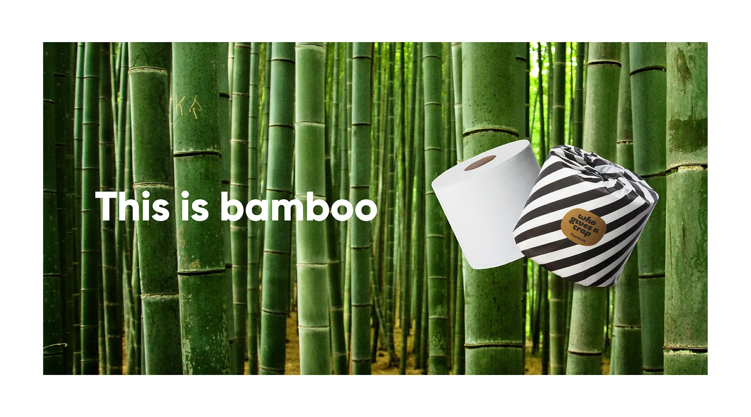 What is bamboo toilet paper? — Talking Crap