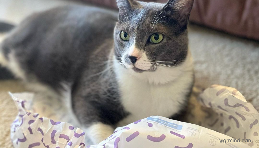 Why Wrap Each Roll Individually? – Talking Crap — Talking Crap