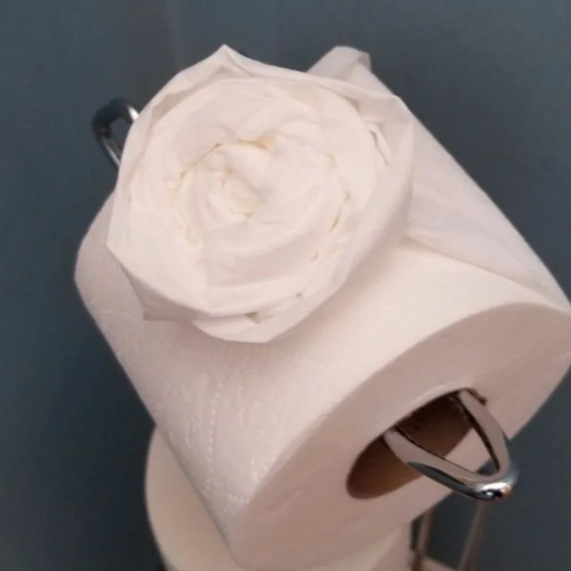 How To Fold Toilet Paper Like a Hotel | Who Gives A Crap — Talking Crap