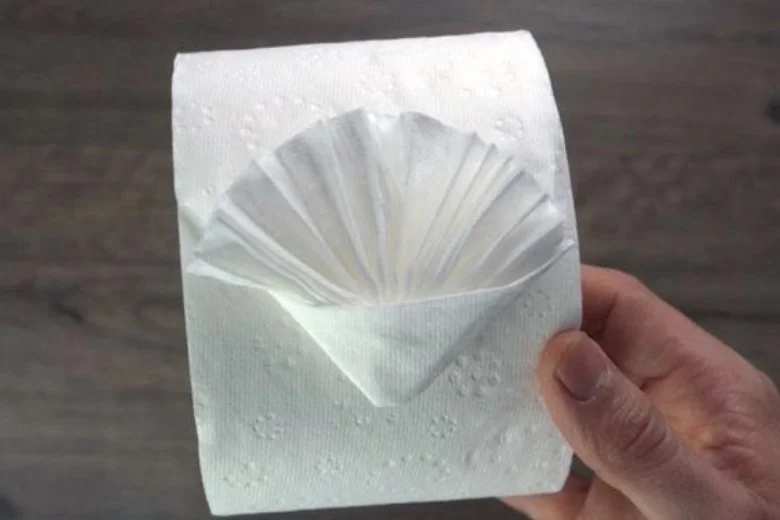How To Fold Toilet Paper Like a Hotel — Talking Crap