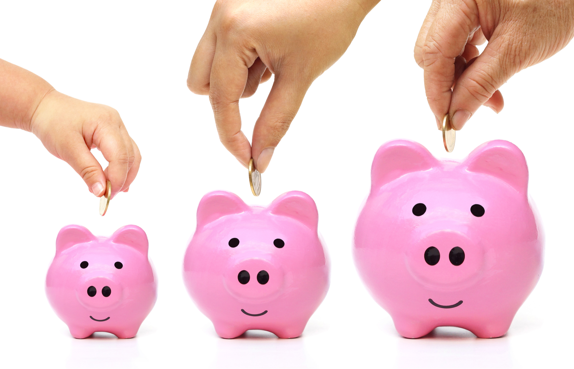 Share Accounts MOOG Employees FCU