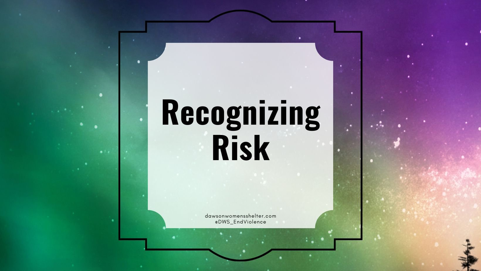 Recognizing Risk — Dawson Women's Shelter