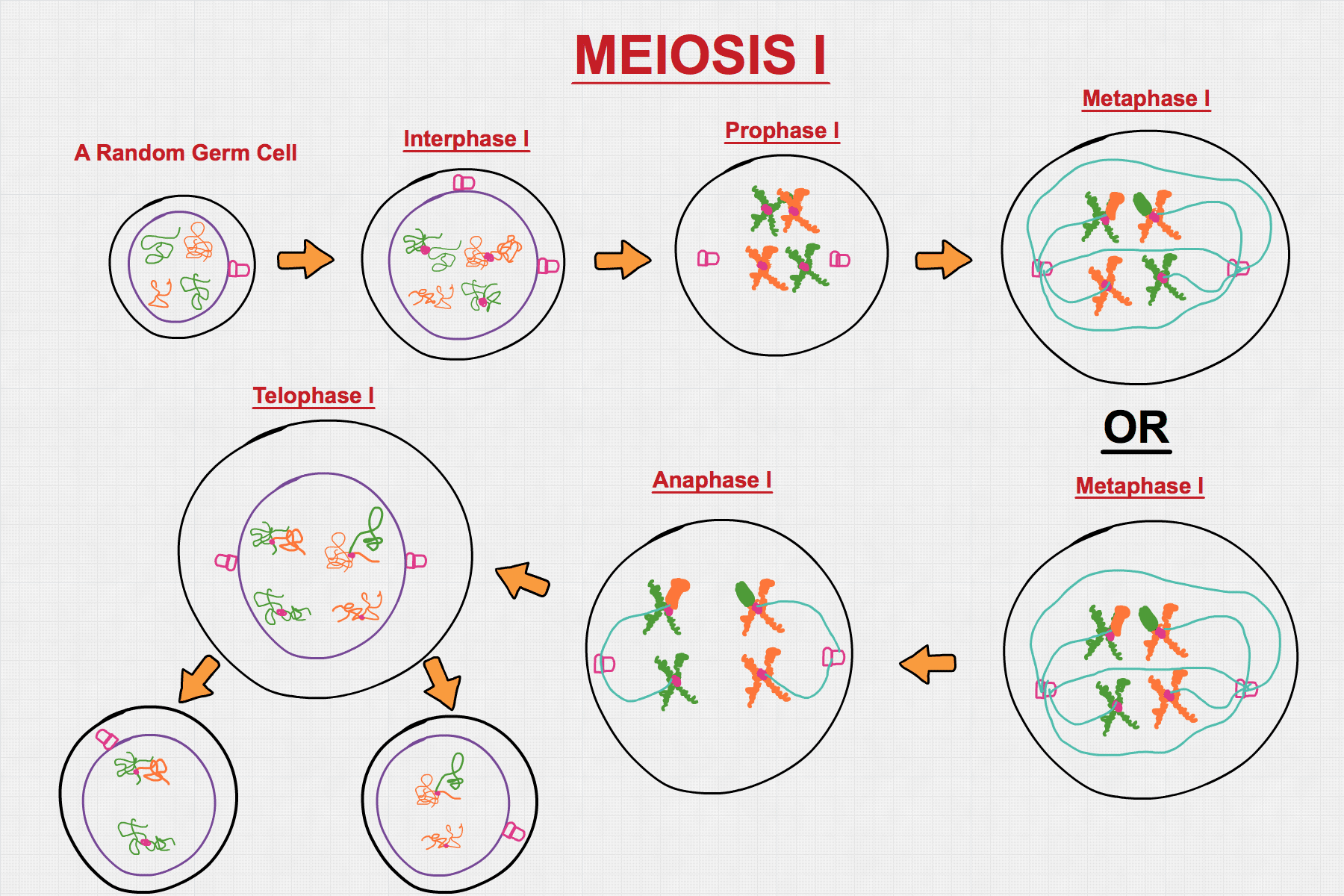 HSC Biology - Module 5 - Inquiry Question 2