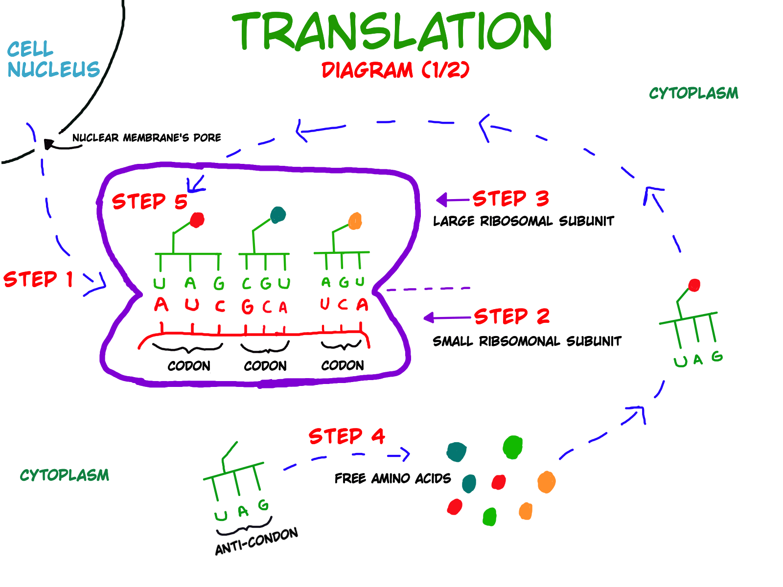 Translation Process Vrogue co Translation Process Vrogue co