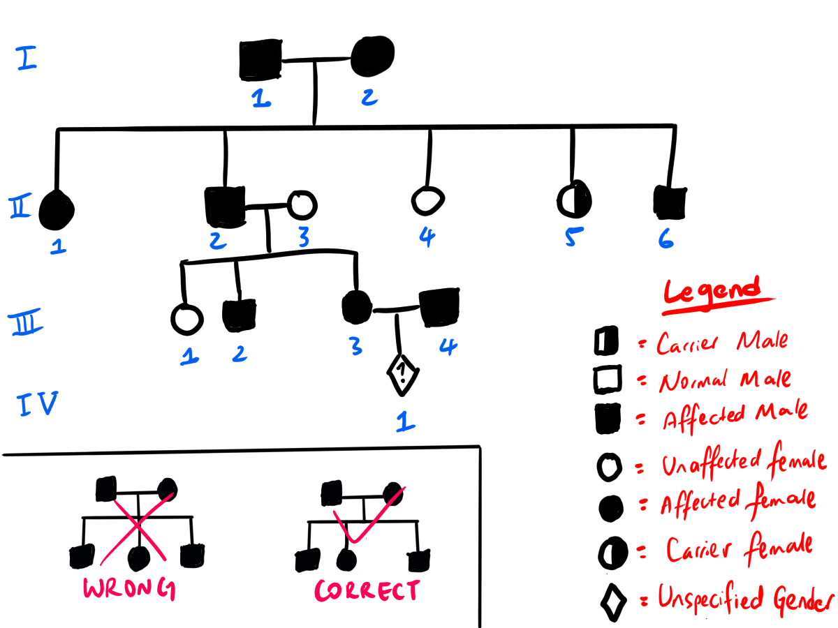 HSC Biology - Module 5 - Inquiry Question 4