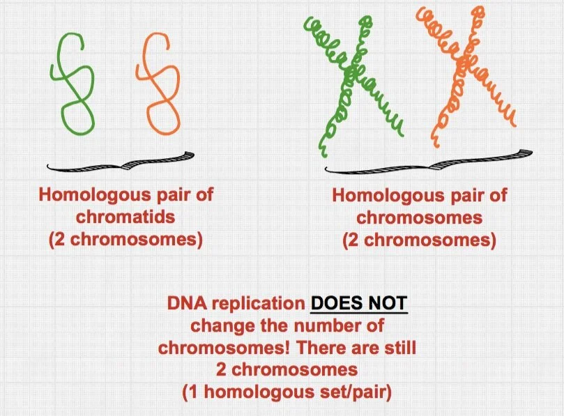 HSC Biology - Module 5 - Inquiry Question 2
