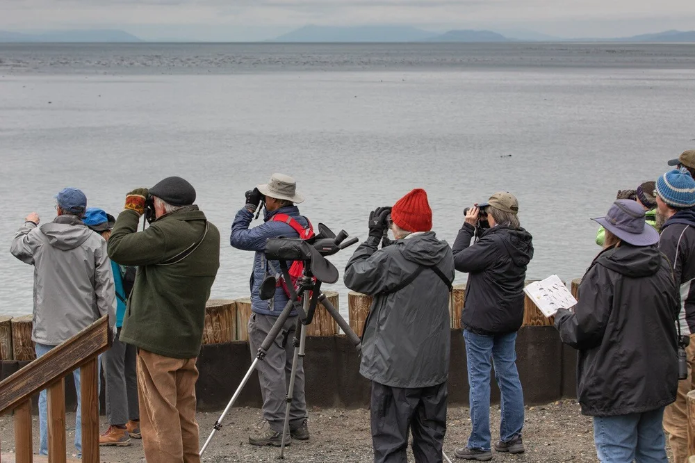 Birding in Neighborhoods — Whidbey Audubon Society