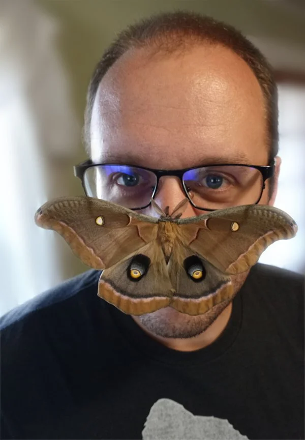 Moths — Whidbey Audubon Society