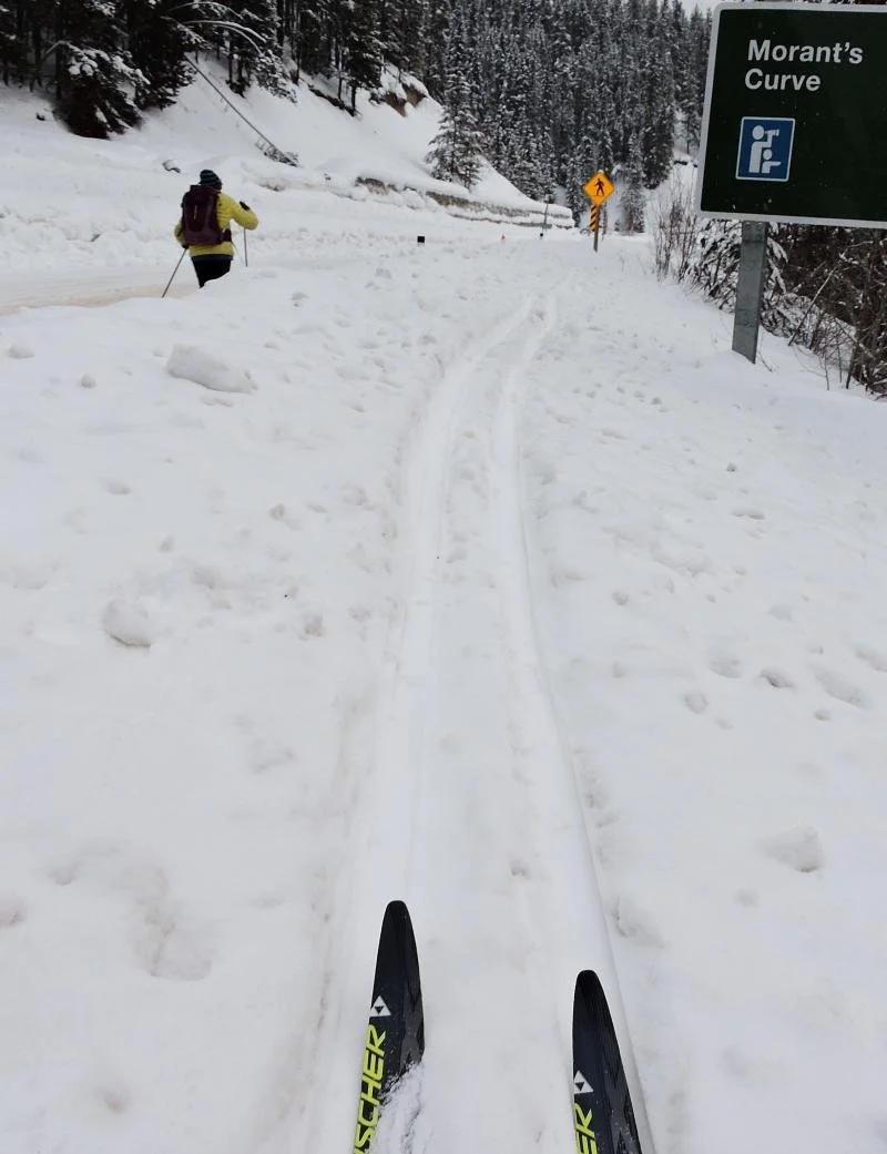 Lake Louise to Banff Loppet and Relay