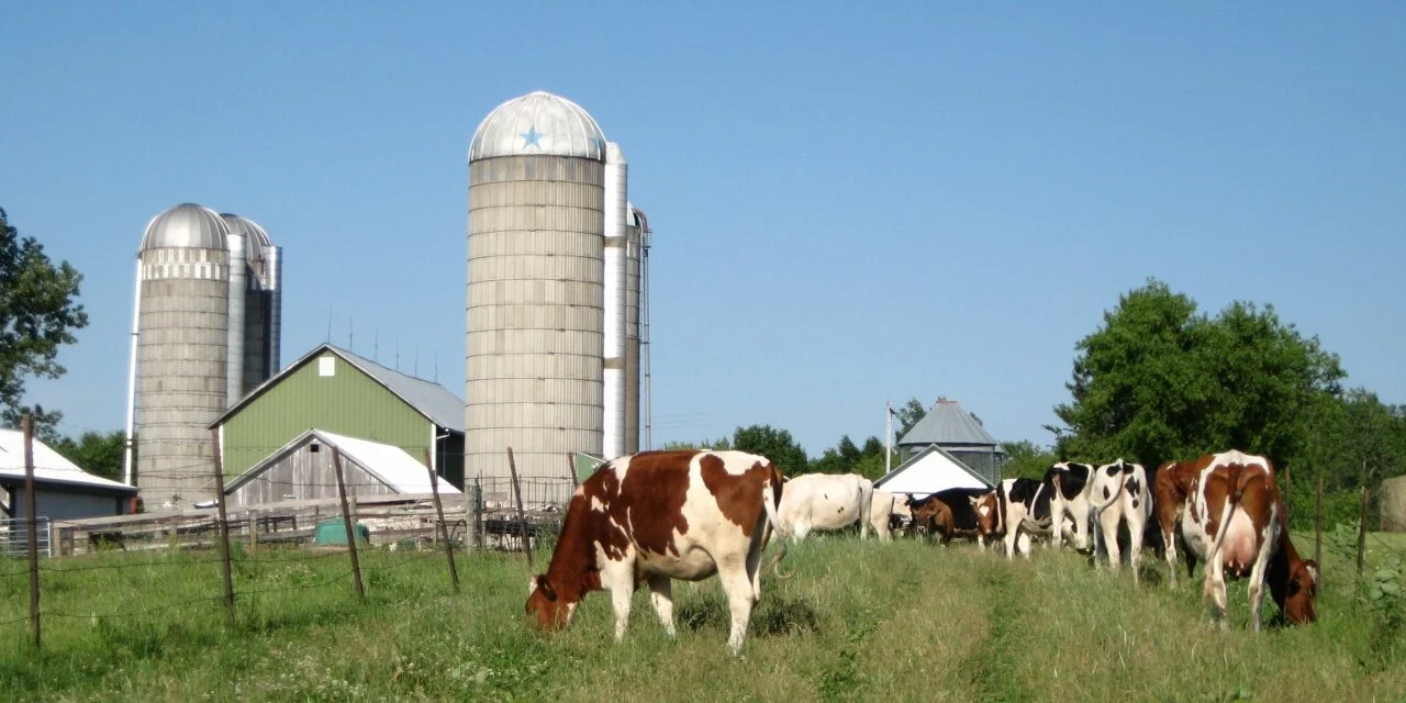 Homestead History — Marth Homestead Farm