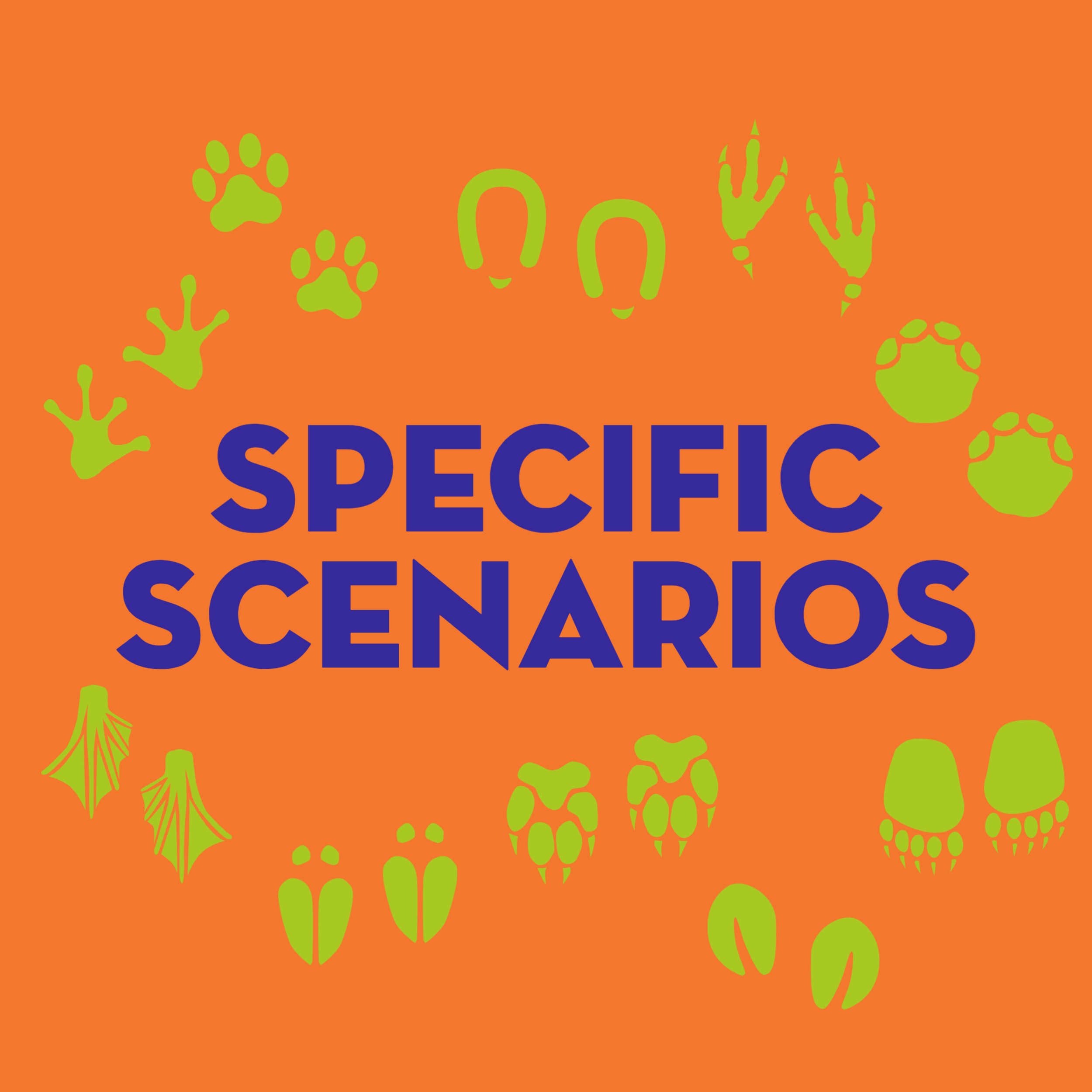 OFFERINGS SNAPSHOT — Animal Magnetism®