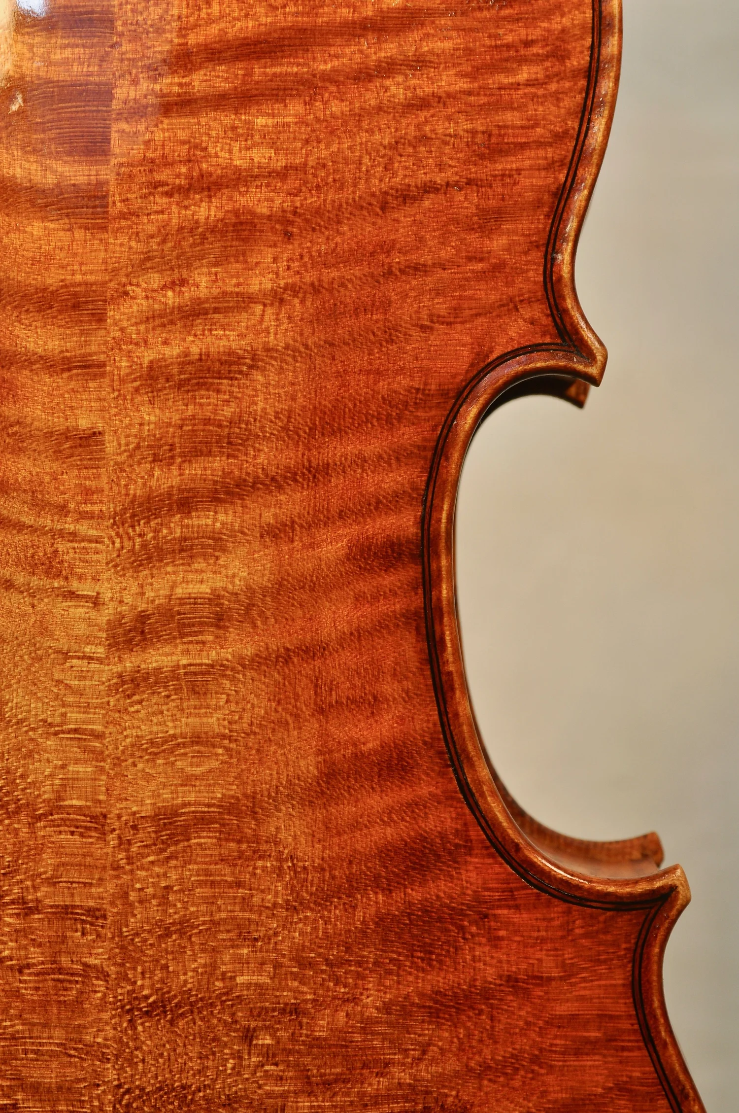 Weinstein Violins — Weinstein Violins