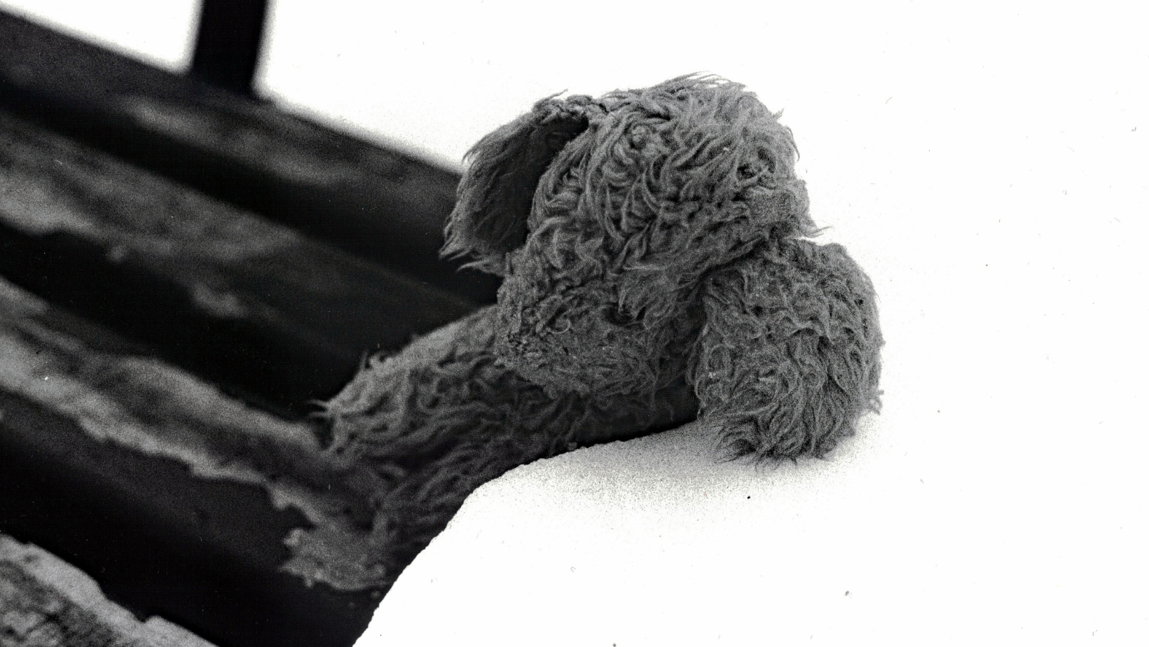 Art Scene — Earl Rina