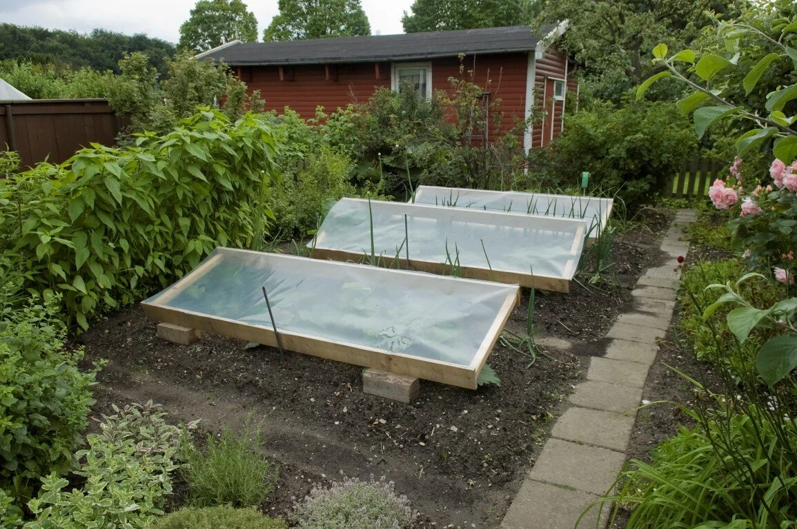 Vart tog alla kallbänkar vägen? — Odla din egen mat