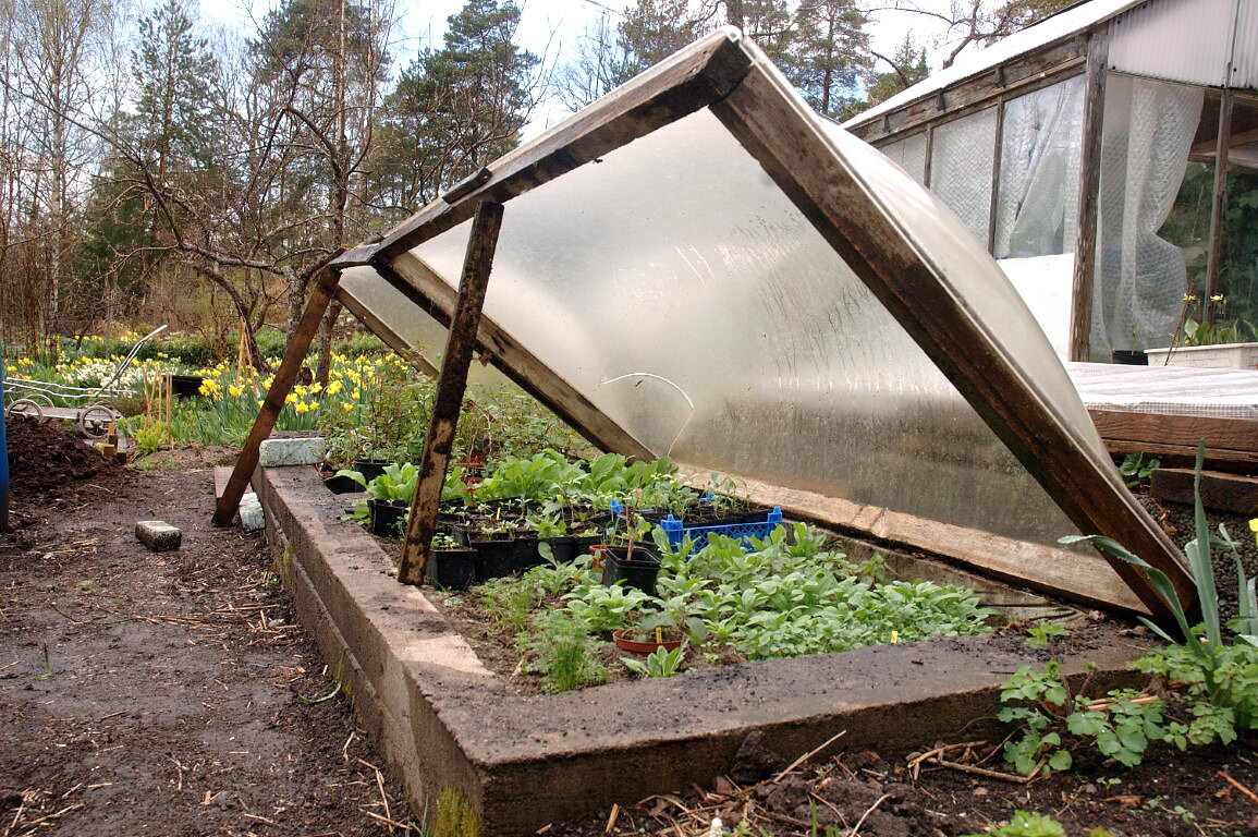 Vart tog alla kallbänkar vägen? — Odla din egen mat