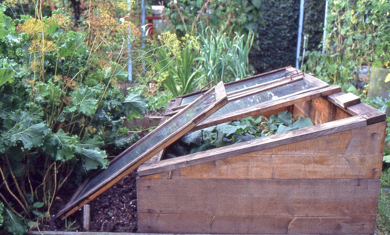 Vart tog alla kallbänkar vägen? — Odla din egen mat