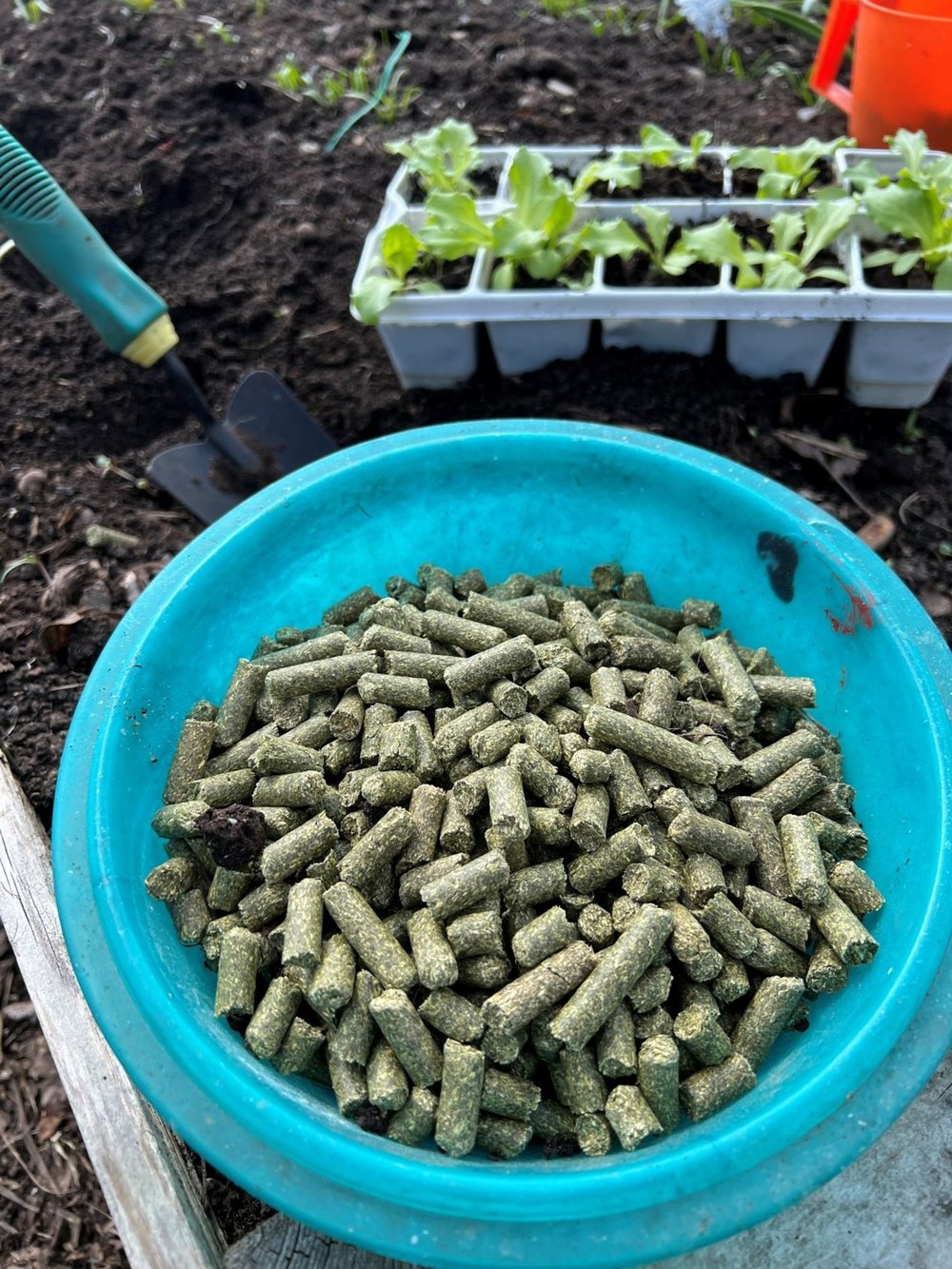 Det gick fint utan stallgödsel - men det bästa är upptäckten av ...