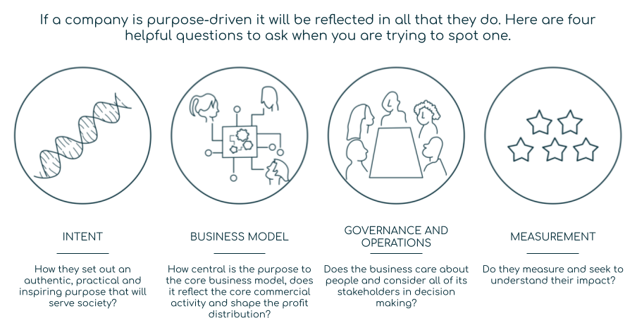 What is a Purpose-Driven Business? — ReGenerate