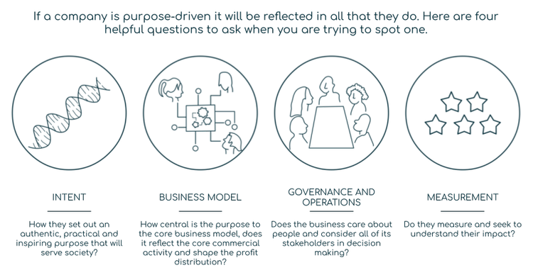 What is a Purpose-Driven Business? — ReGenerate