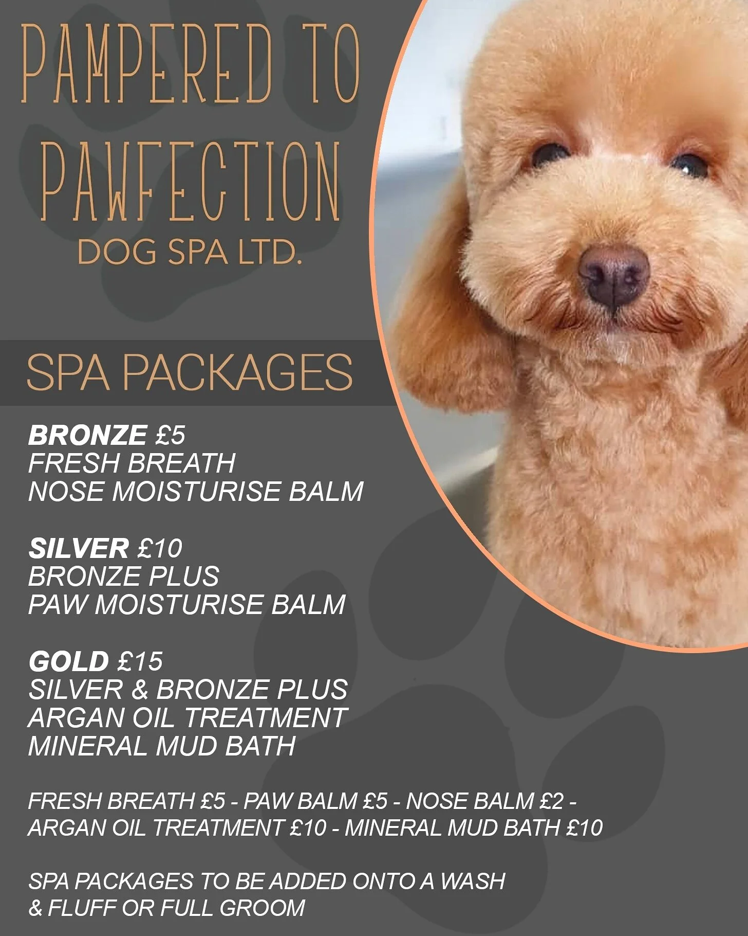 Spa Treatments — Pampered to Pawfection Dog Spa Ltd