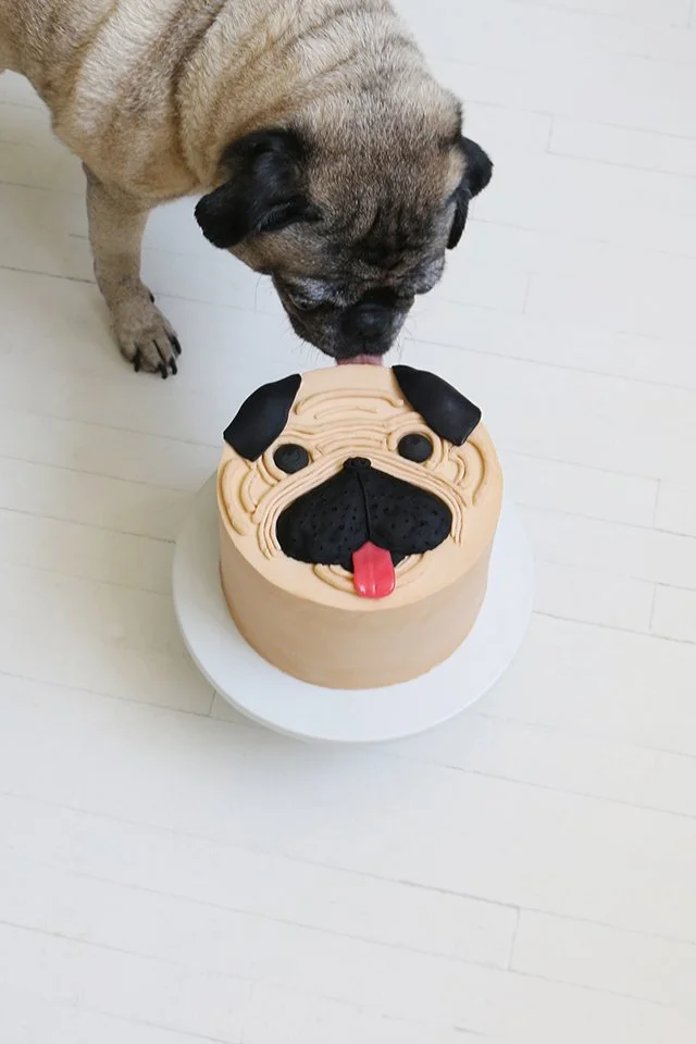 Pug and Corgi Cakes with A Cozy Kitchen — Alana Jones-Mann