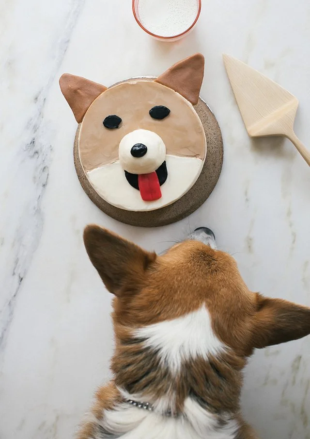 Pug and Corgi Cakes with A Cozy Kitchen — Alana Jones-Mann
