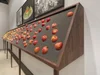 Even the Apple — SUSY BIELAK