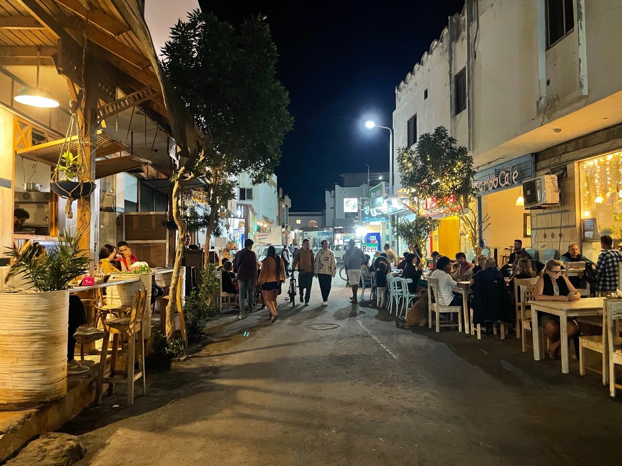 Dahab Bums — Scott & Kelly's Excellent Adventure