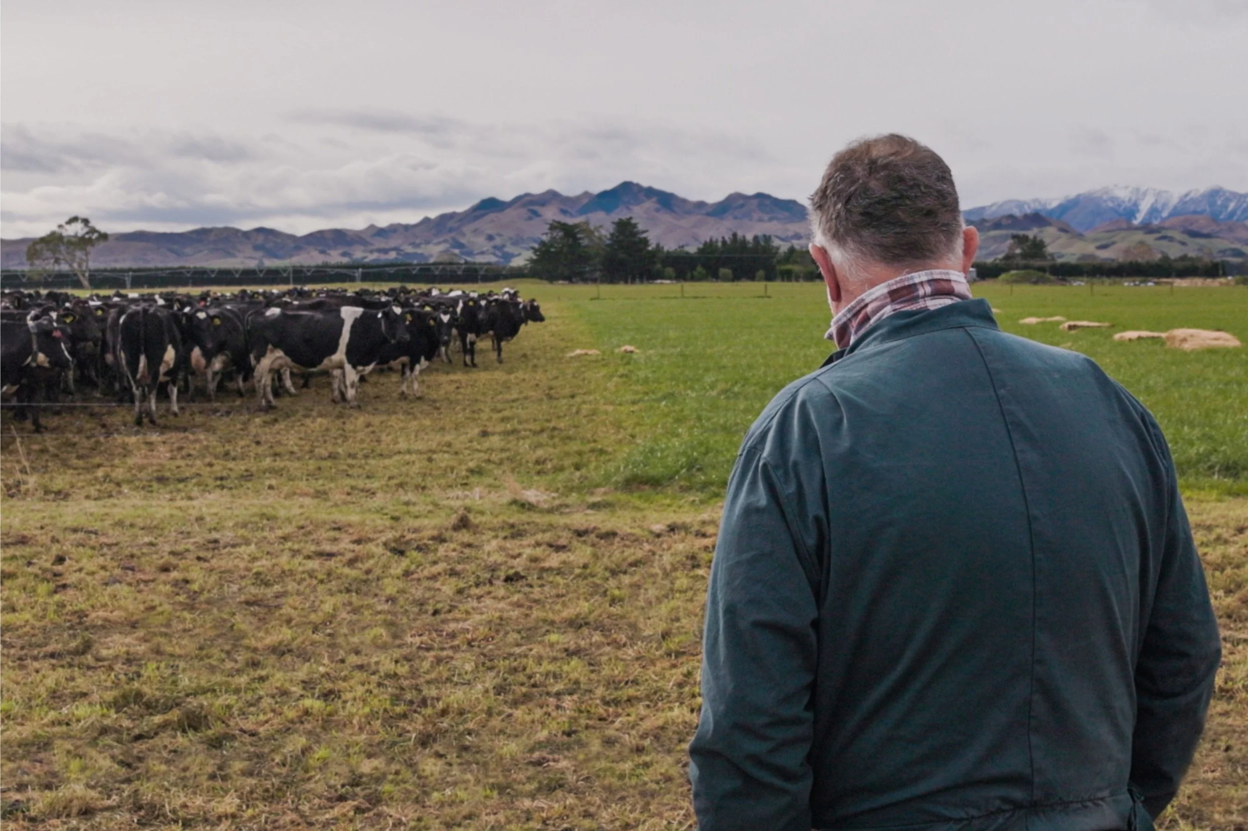 Halter® | The Future of Farming